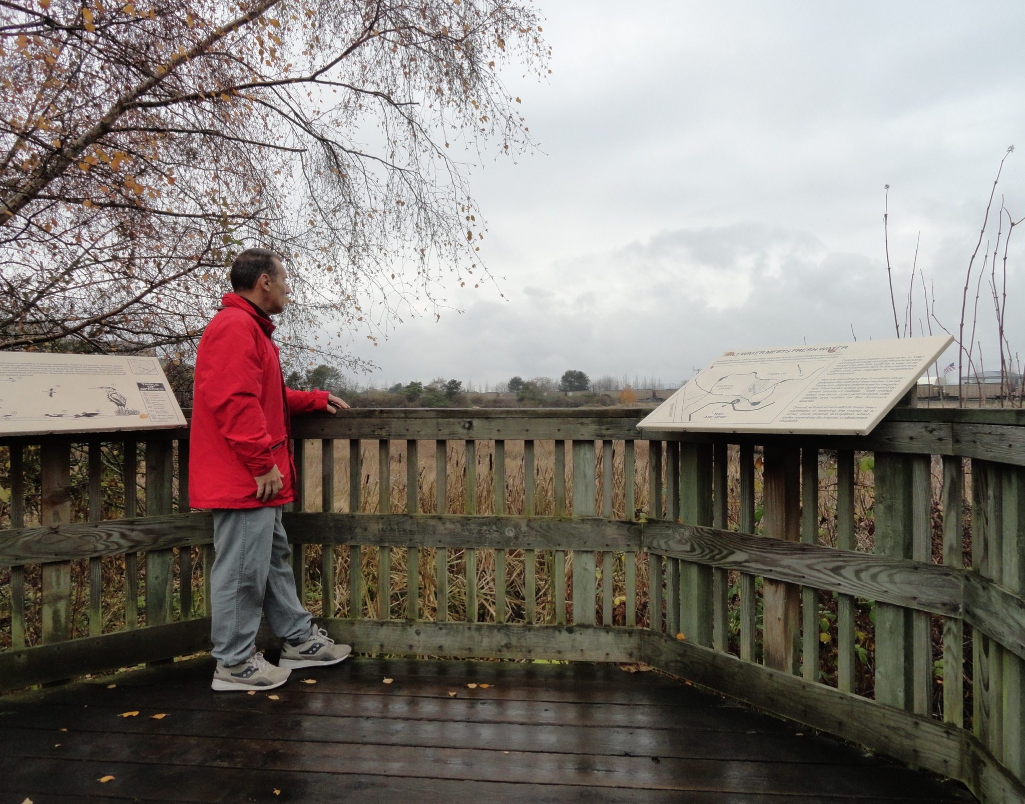 Edmonds Marsh─Over 225 species of birds on 23 acres of wetlands! – HIke ...