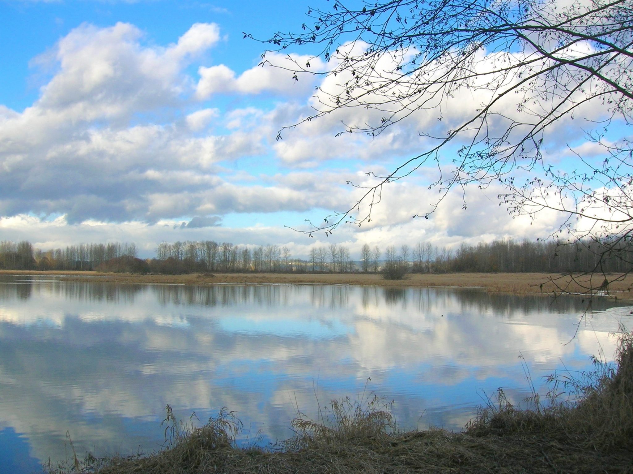 Puget Sound Islands & Lowlands – HIke of the Week Puget Sound Islands & Lowlands – HIke of the Week