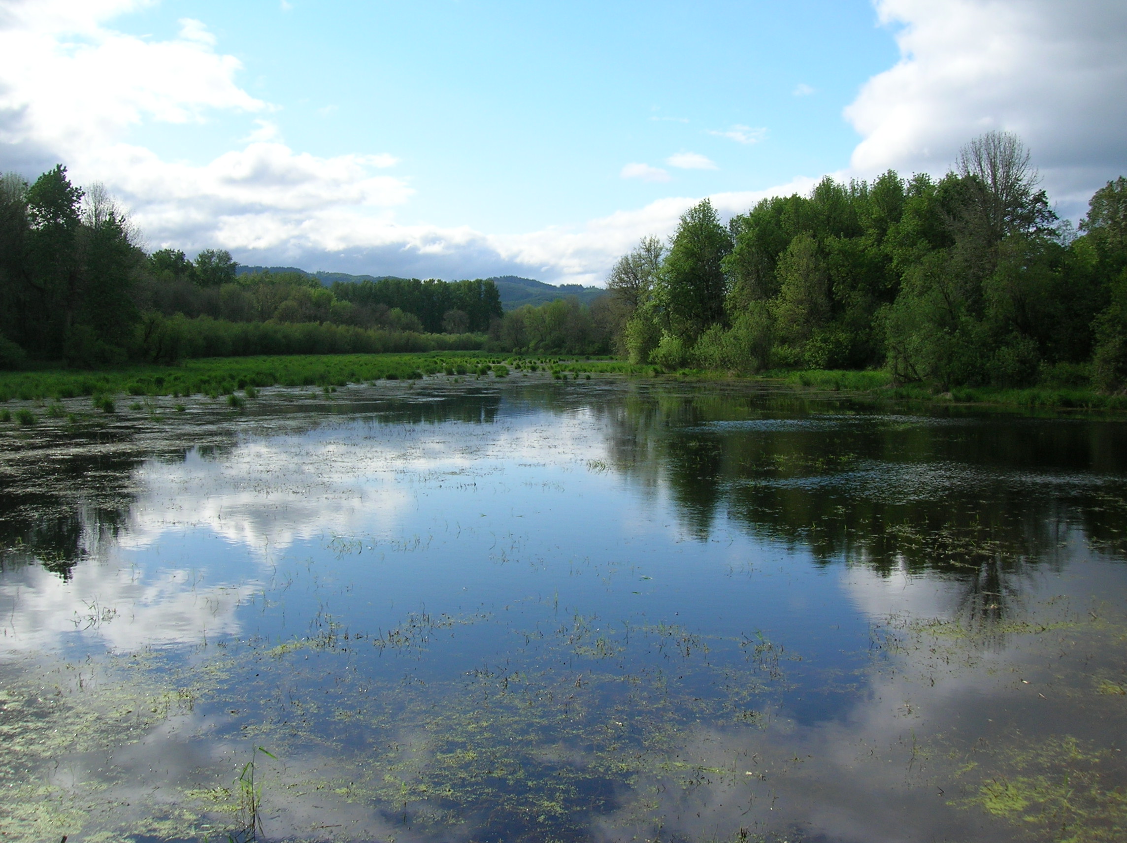 Urban Trails: Portland, Oregon – HIke of the Week