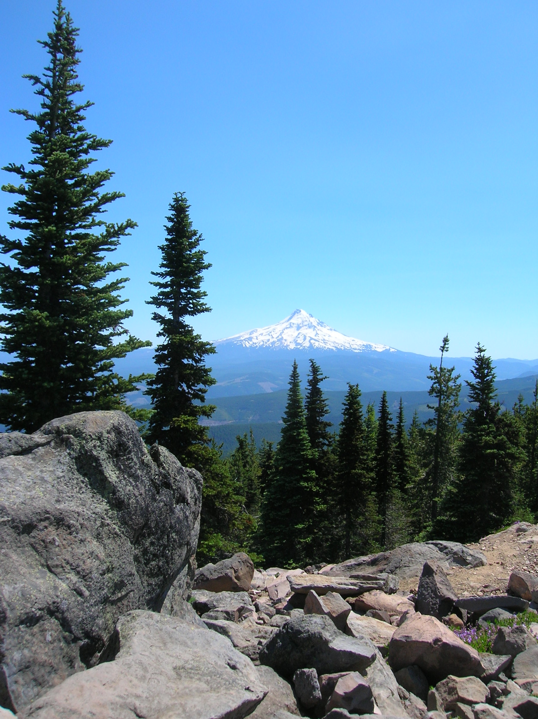 Mount Defiance─ the Undisputed Granddaddy of the Gorge – HIke of the Week