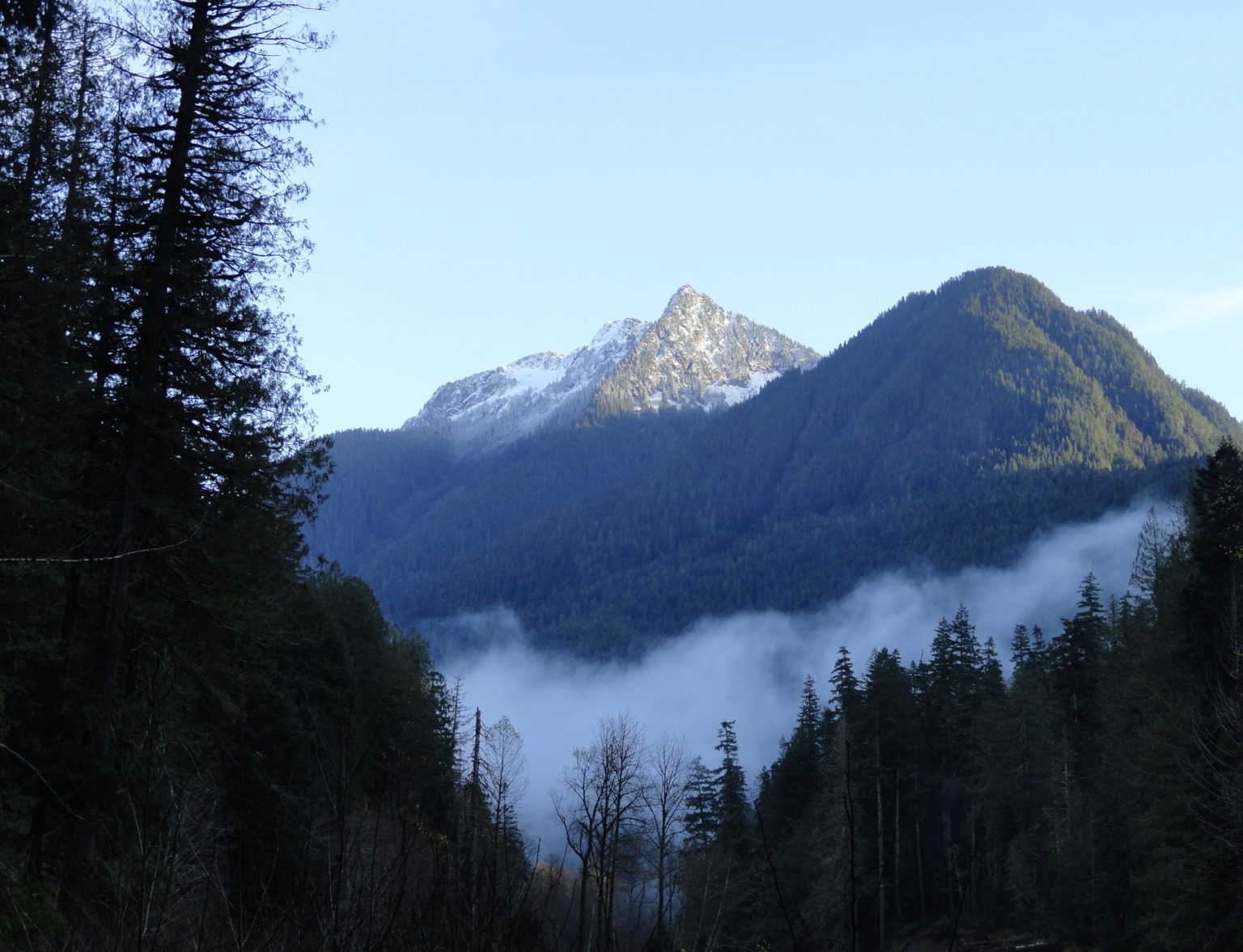 Suiattle River– A wild river and majestic primeval forest within the ...