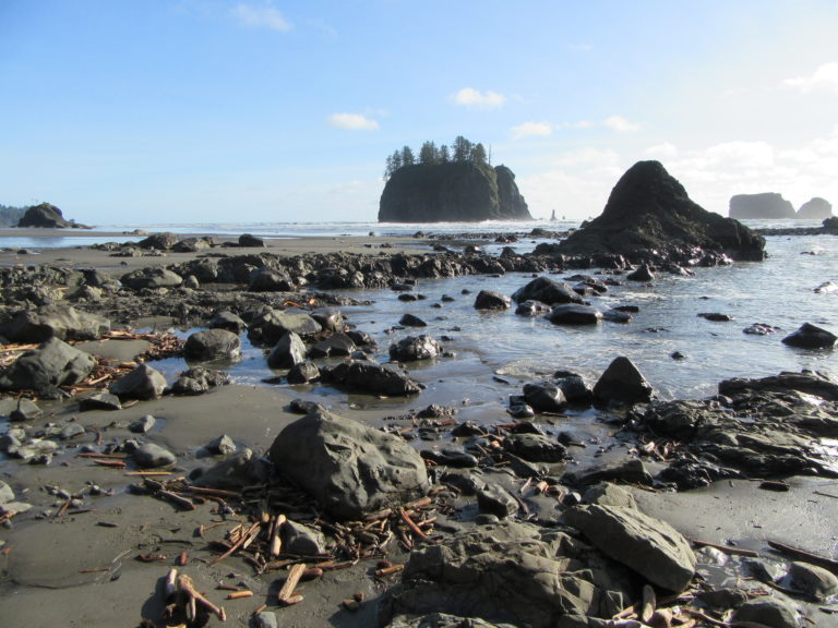 Second Beach– Home to First Rate Scenery – HIke of the Week