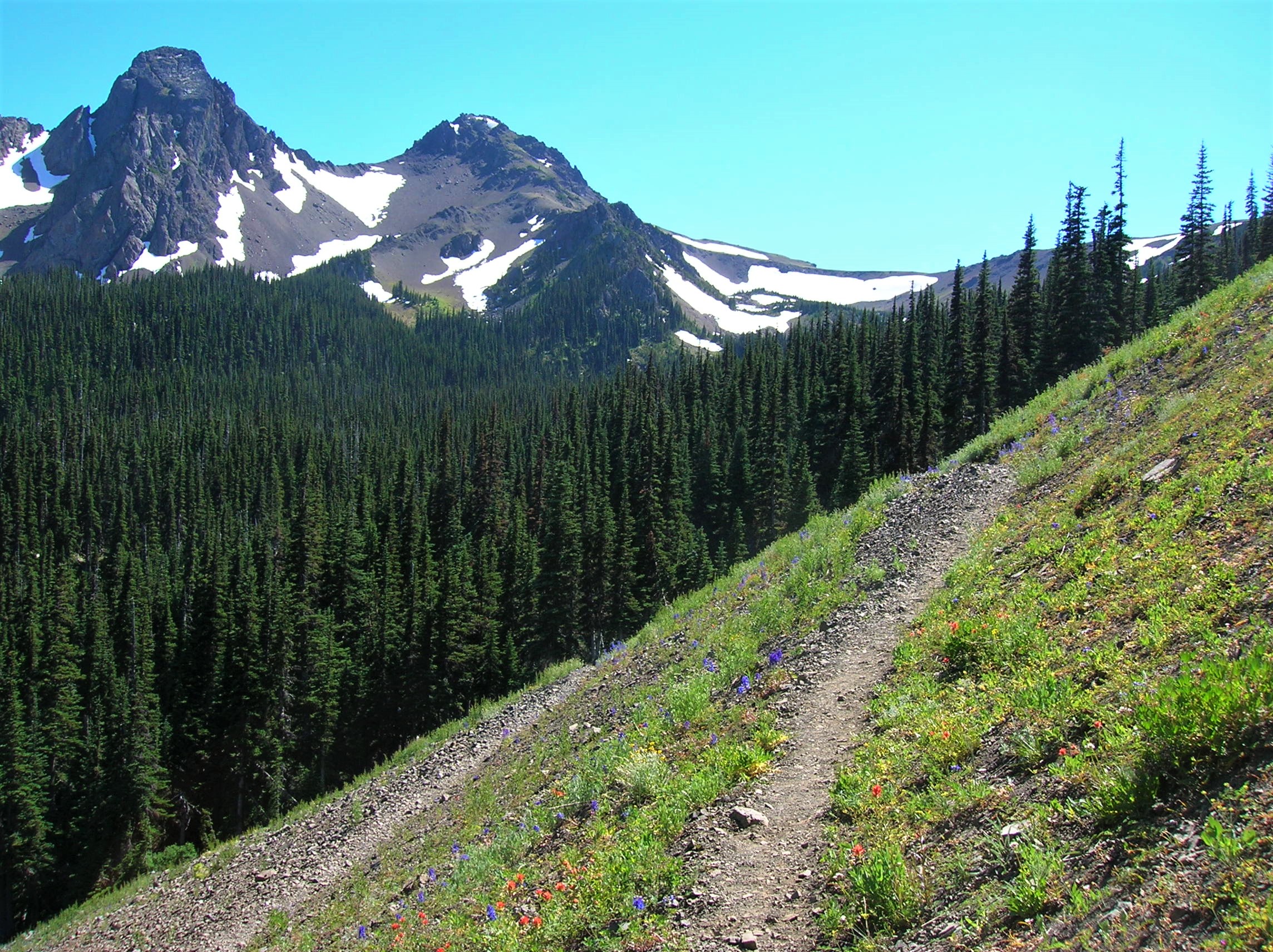 Buckhorn Wilderness – HIke of the Week