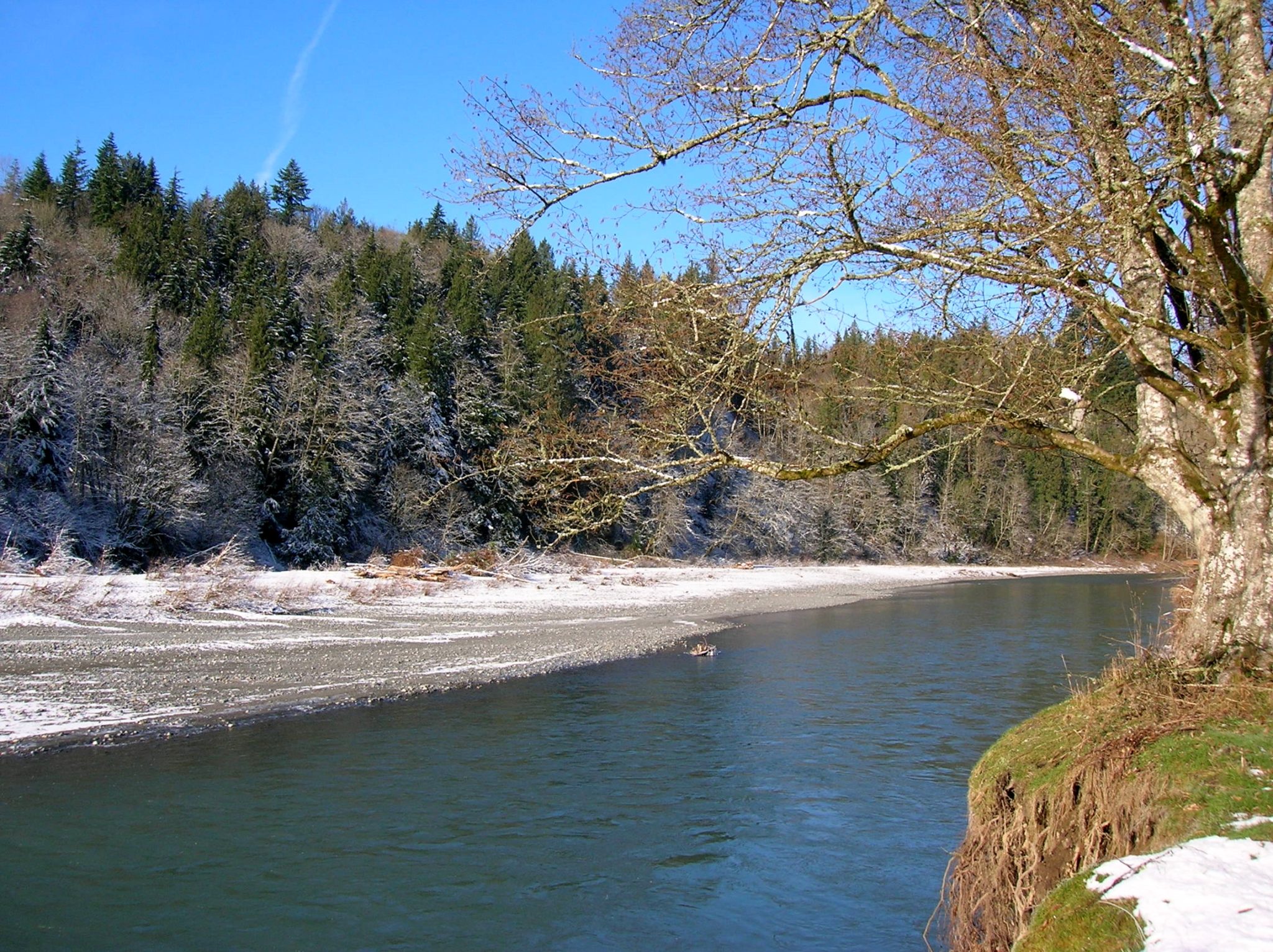 Puget Sound Islands & Lowlands – HIke of the Week