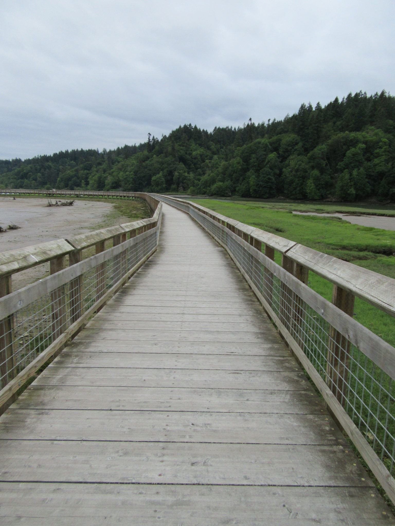 Puget Sound Islands & Lowlands – HIke of the Week