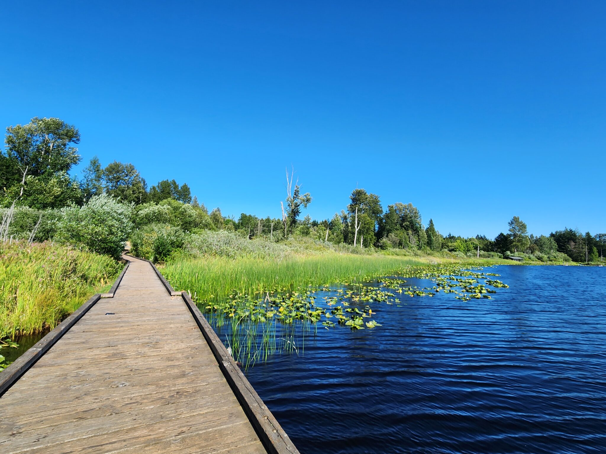 Puget Sound Islands & Lowlands – HIke of the Week