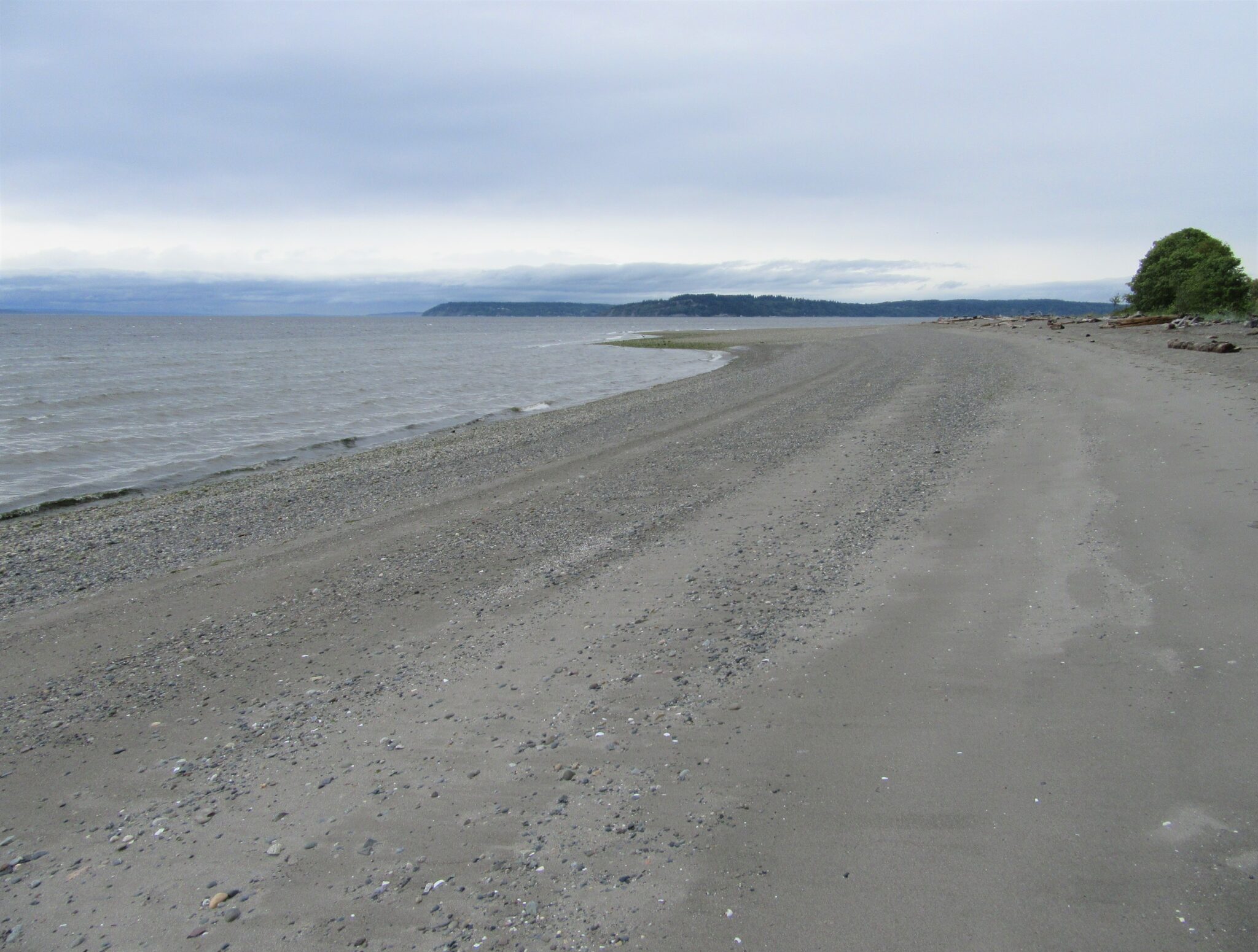 Puget Sound Islands & Lowlands – HIke of the Week