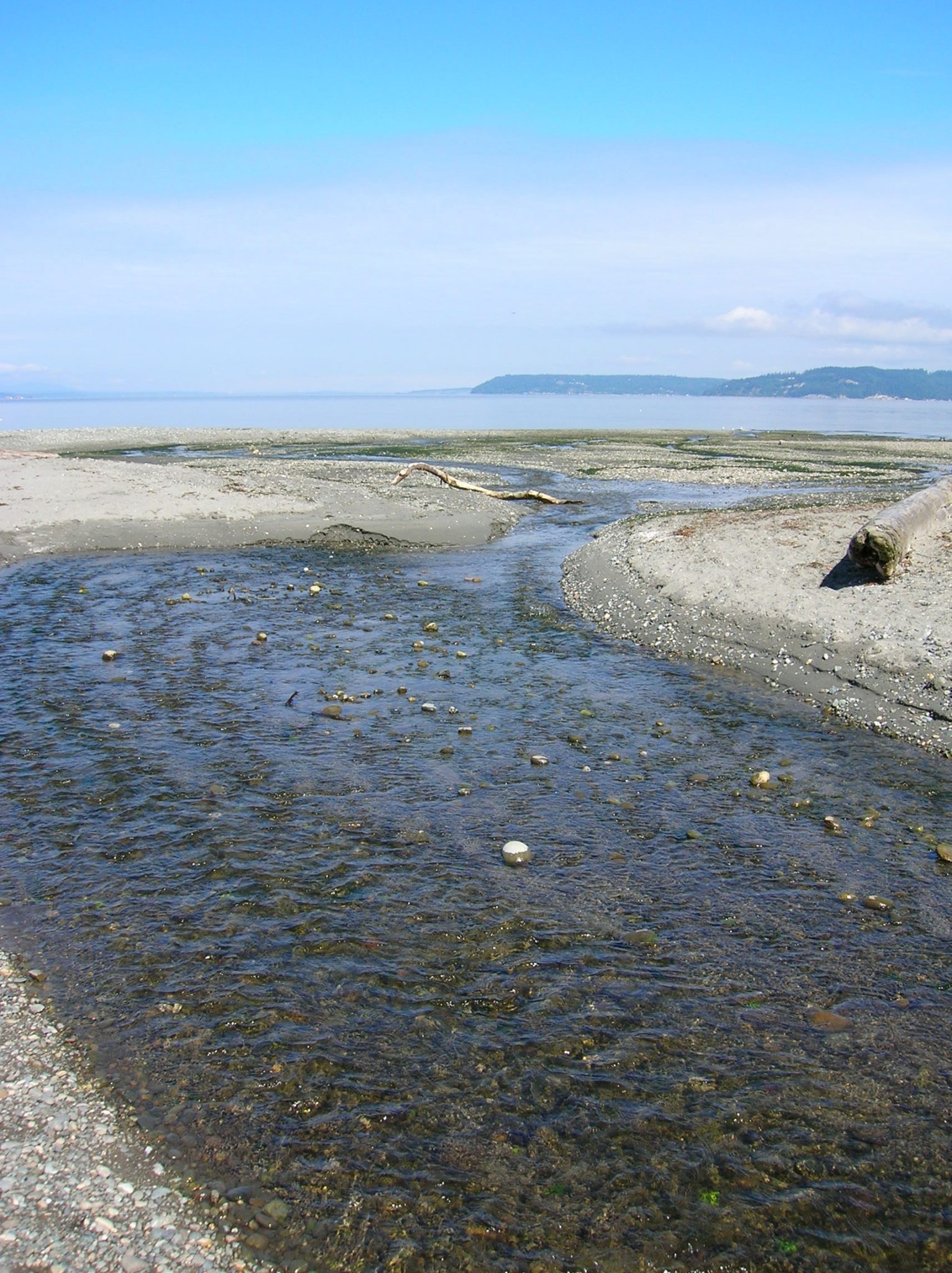 Puget Sound Islands & Lowlands – Page 5 – HIke of the Week Puget Sound Islands & Lowlands – Page 5 – HIke of the Week
