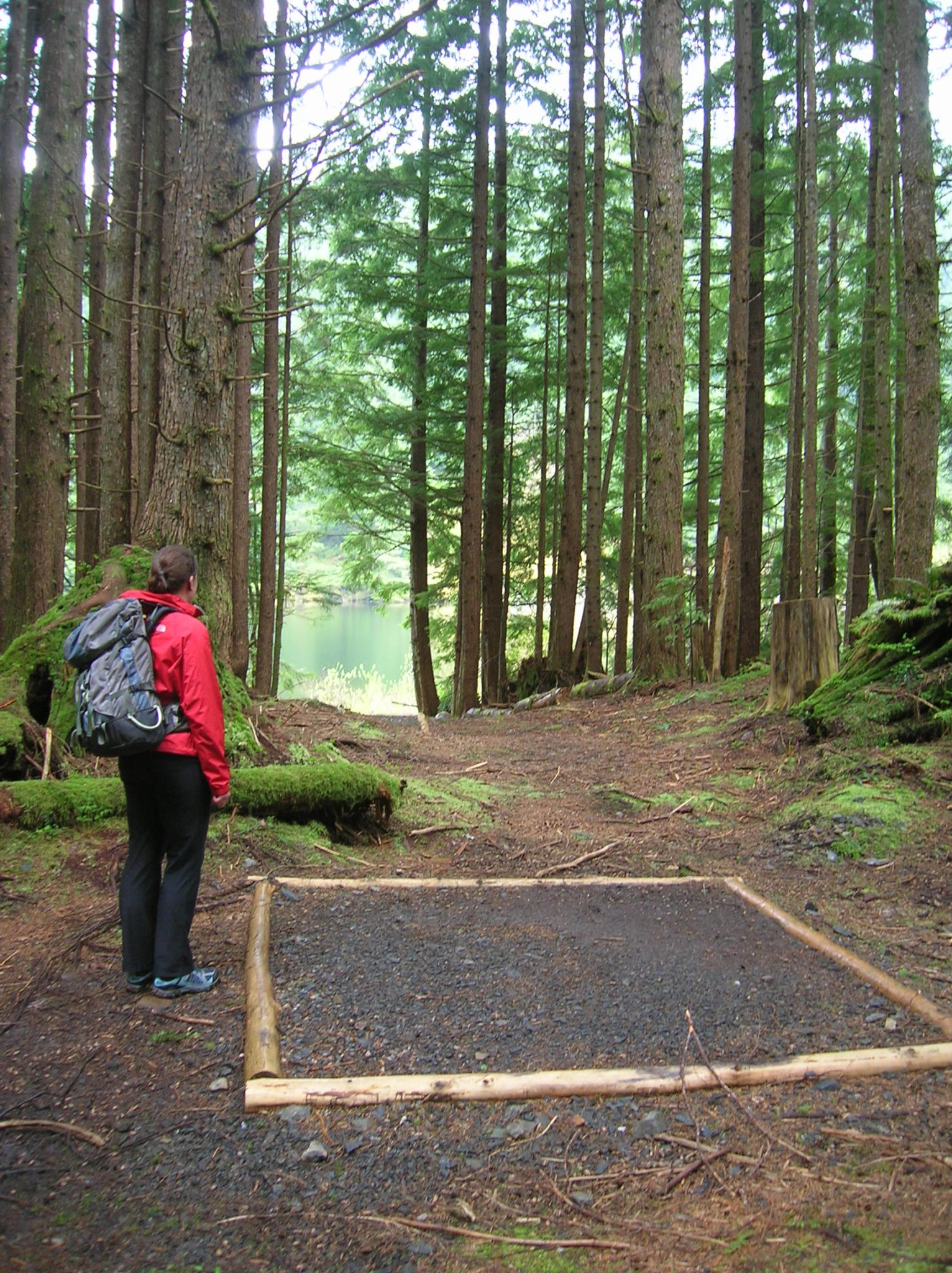 Puget Sound Islands & Lowlands – HIke of the Week