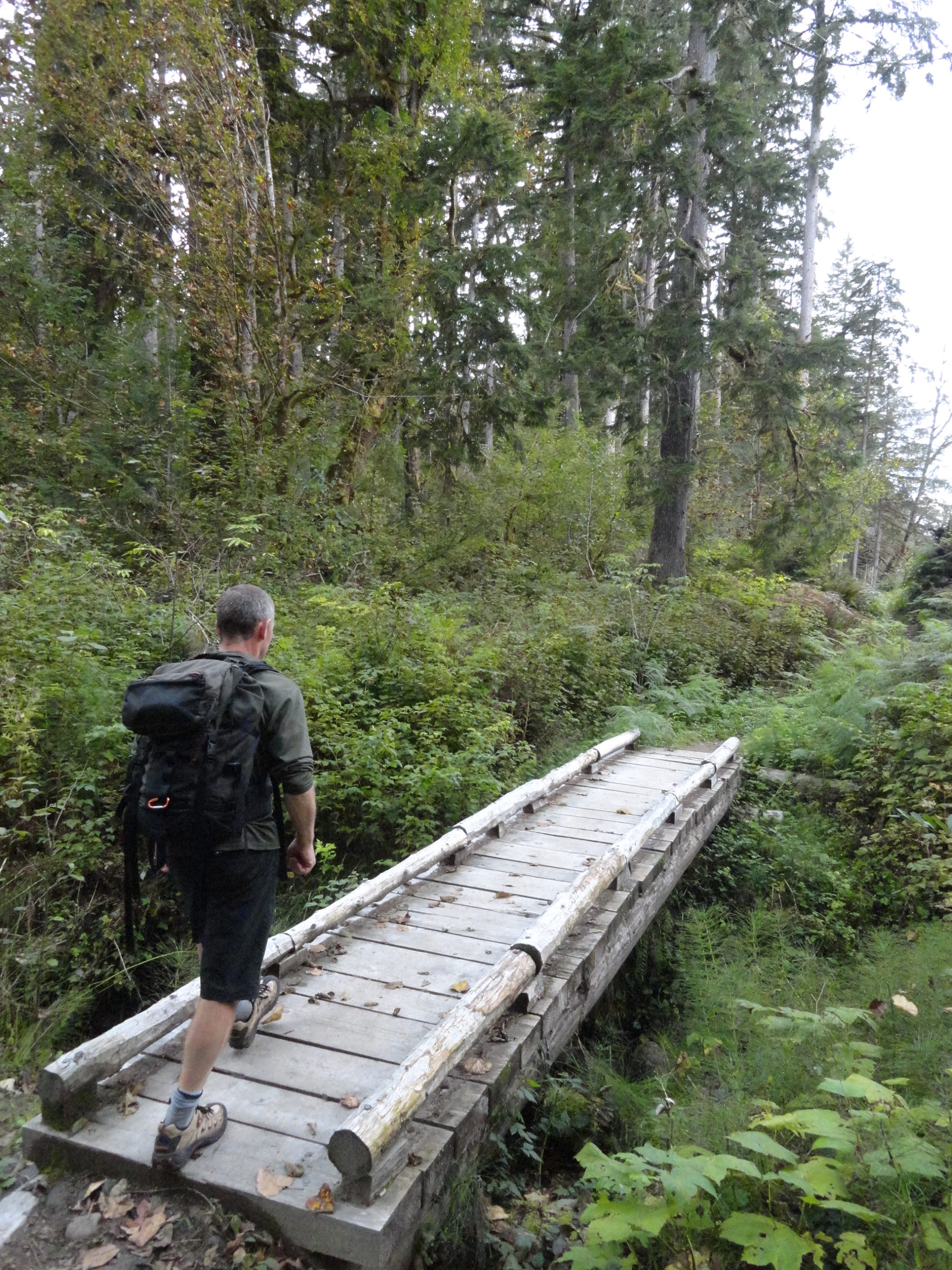 Old Sauk River Trail– Stroll along a Wild and Scenic River – HIke of ...