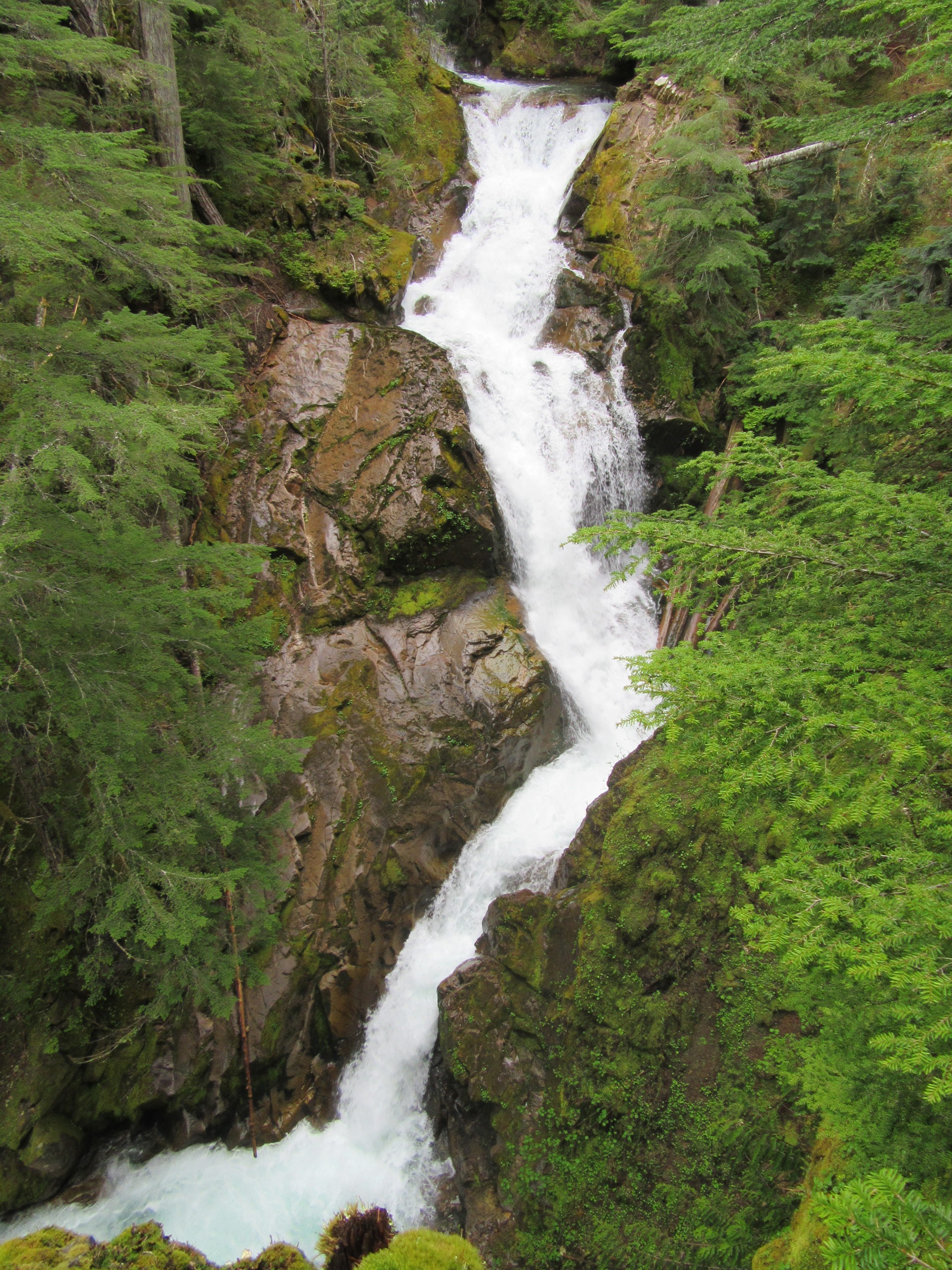 Eastside Trail — Big trees, big waterfalls, and lots of tranquility ...