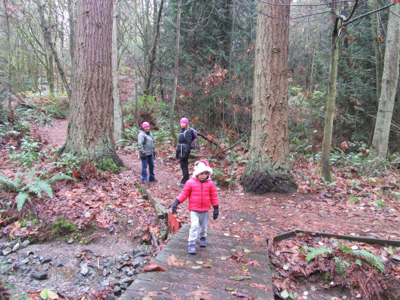 Yost Park– Slice of Nature in the heart of Edmonds – HIke of the Week