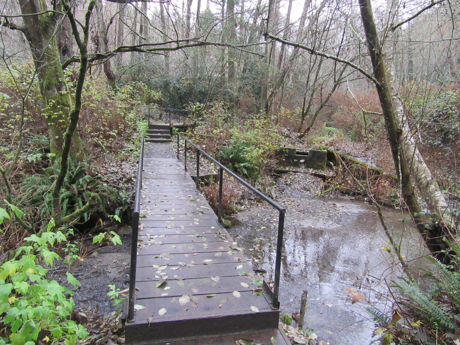 Yost Park– Slice of Nature in the heart of Edmonds – HIke of the Week