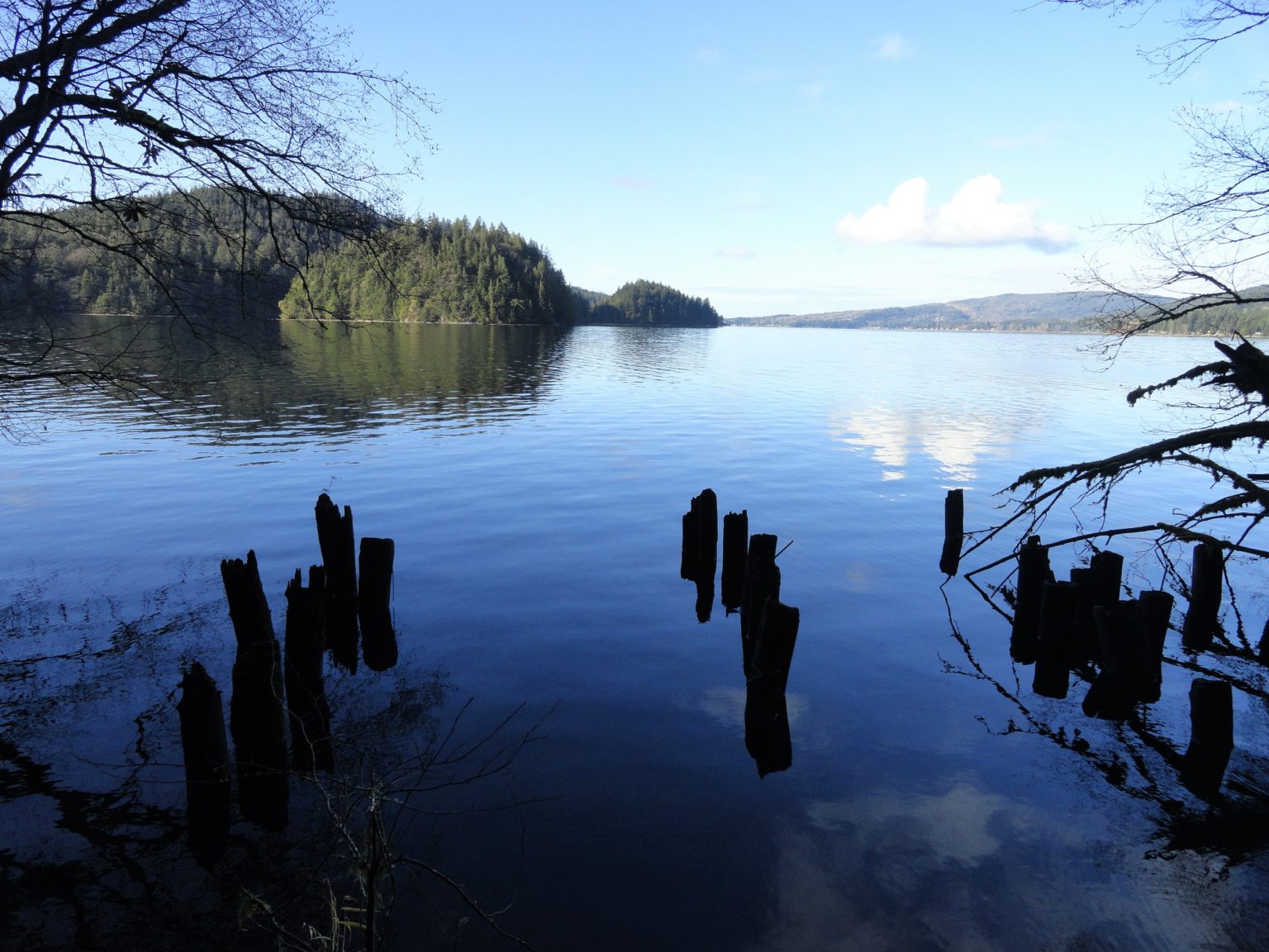 Hertz Trail –Hike along a wild shoreline of Lake Whatcom – HIke of the Week