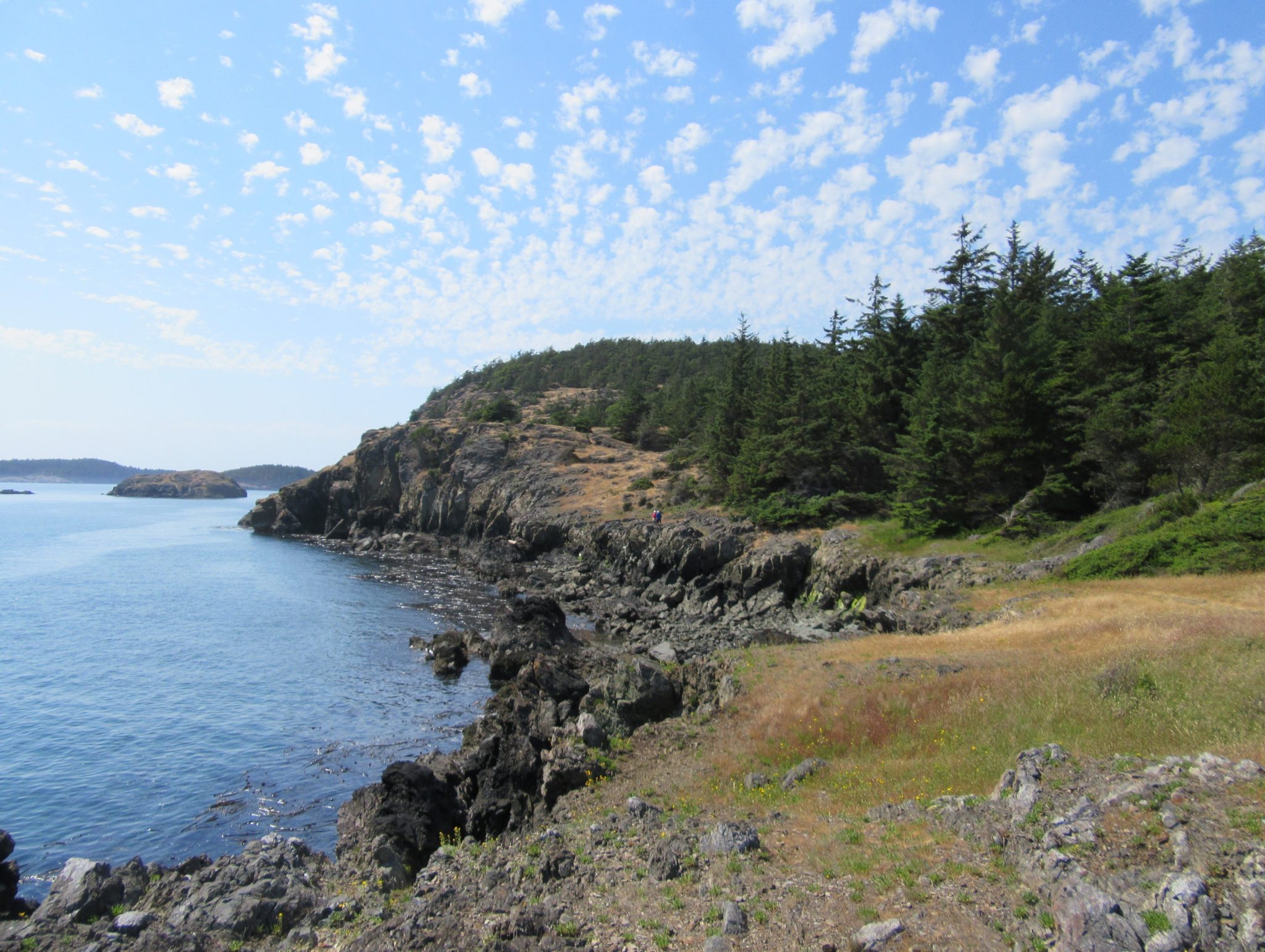 Point Colville– Rugged coastal headland on Lopez Island – HIke of the Week