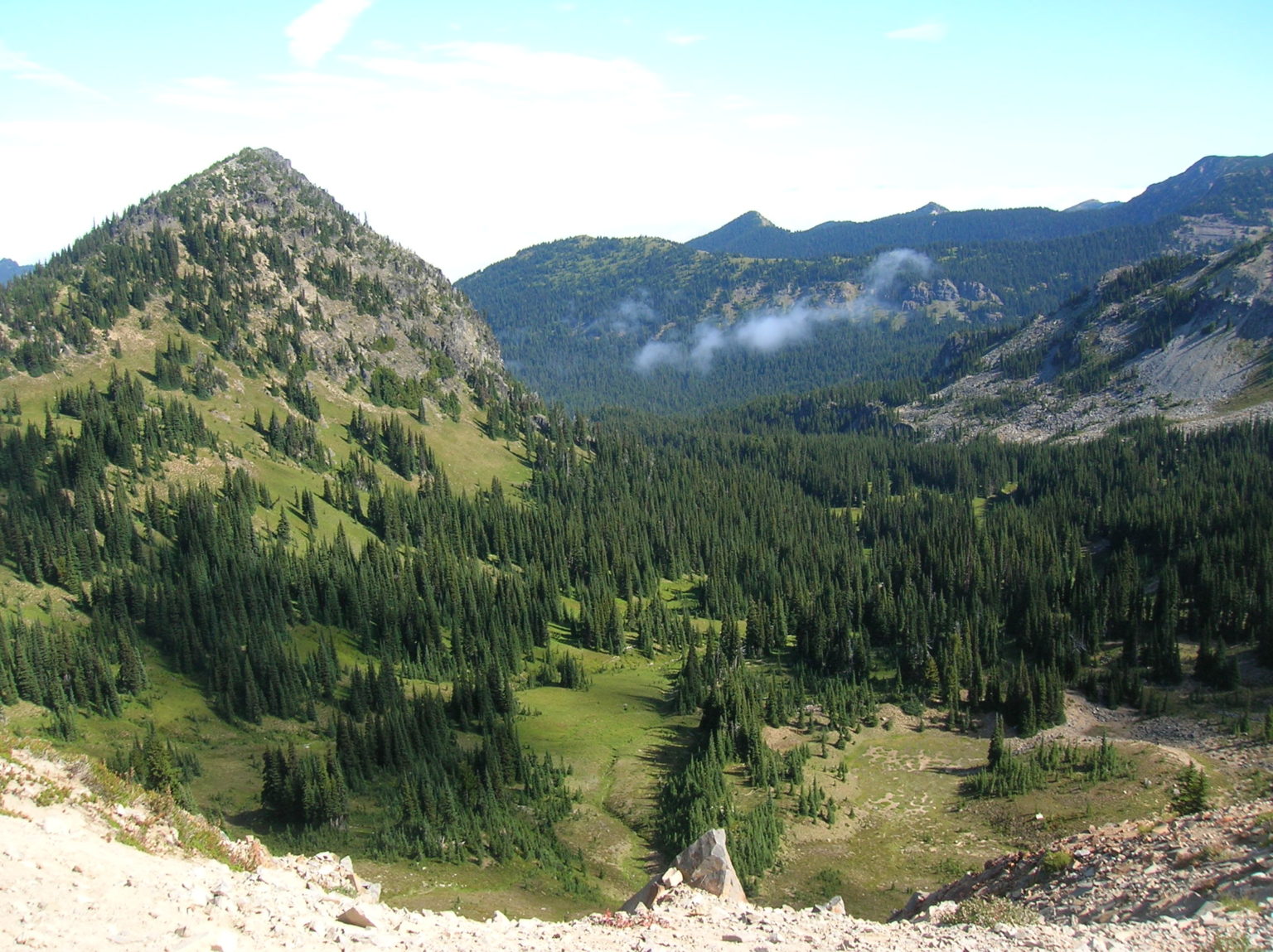 Sourdough Ridge — Enjoy sweet views of Mount Rainier from this easy ...