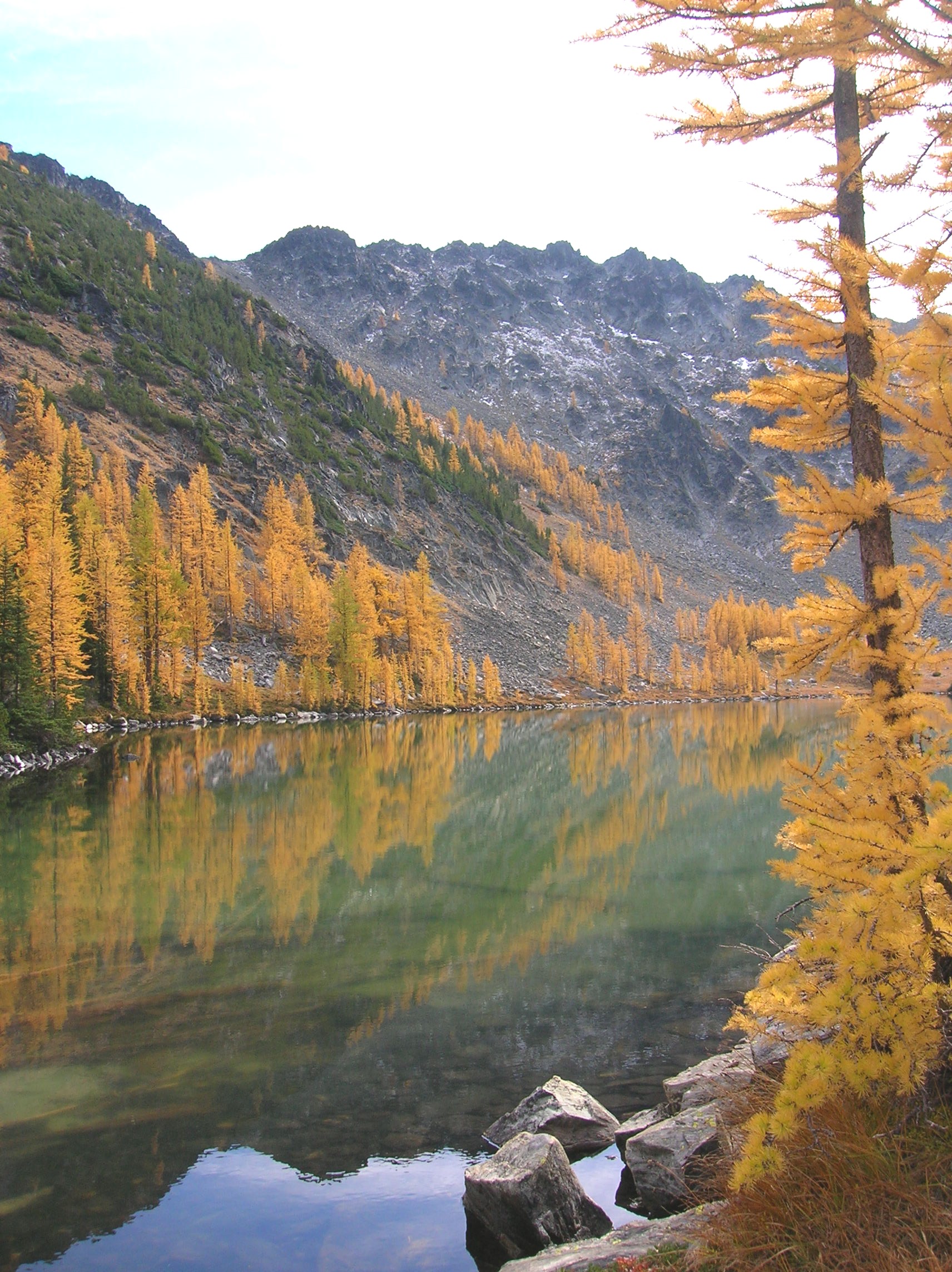 Larch hikes – HIke of the Week