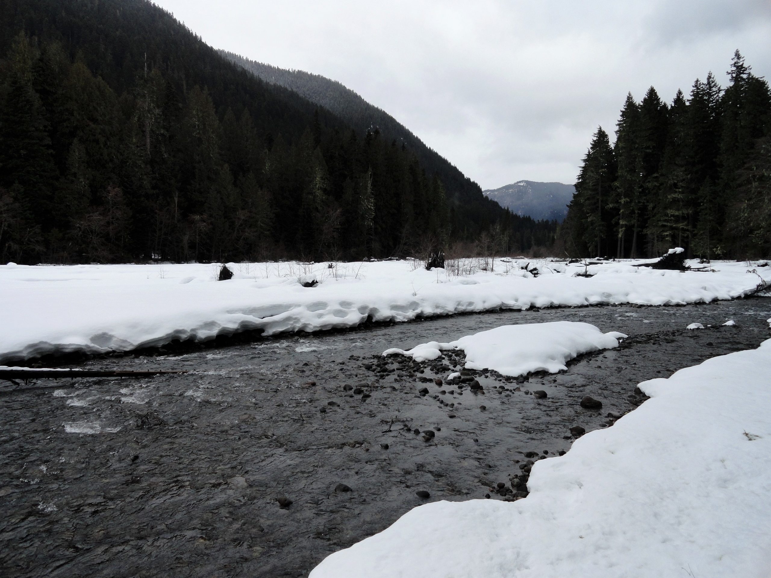River Trail (Blue Diamond Trail)–Easily accessible and little-known ...