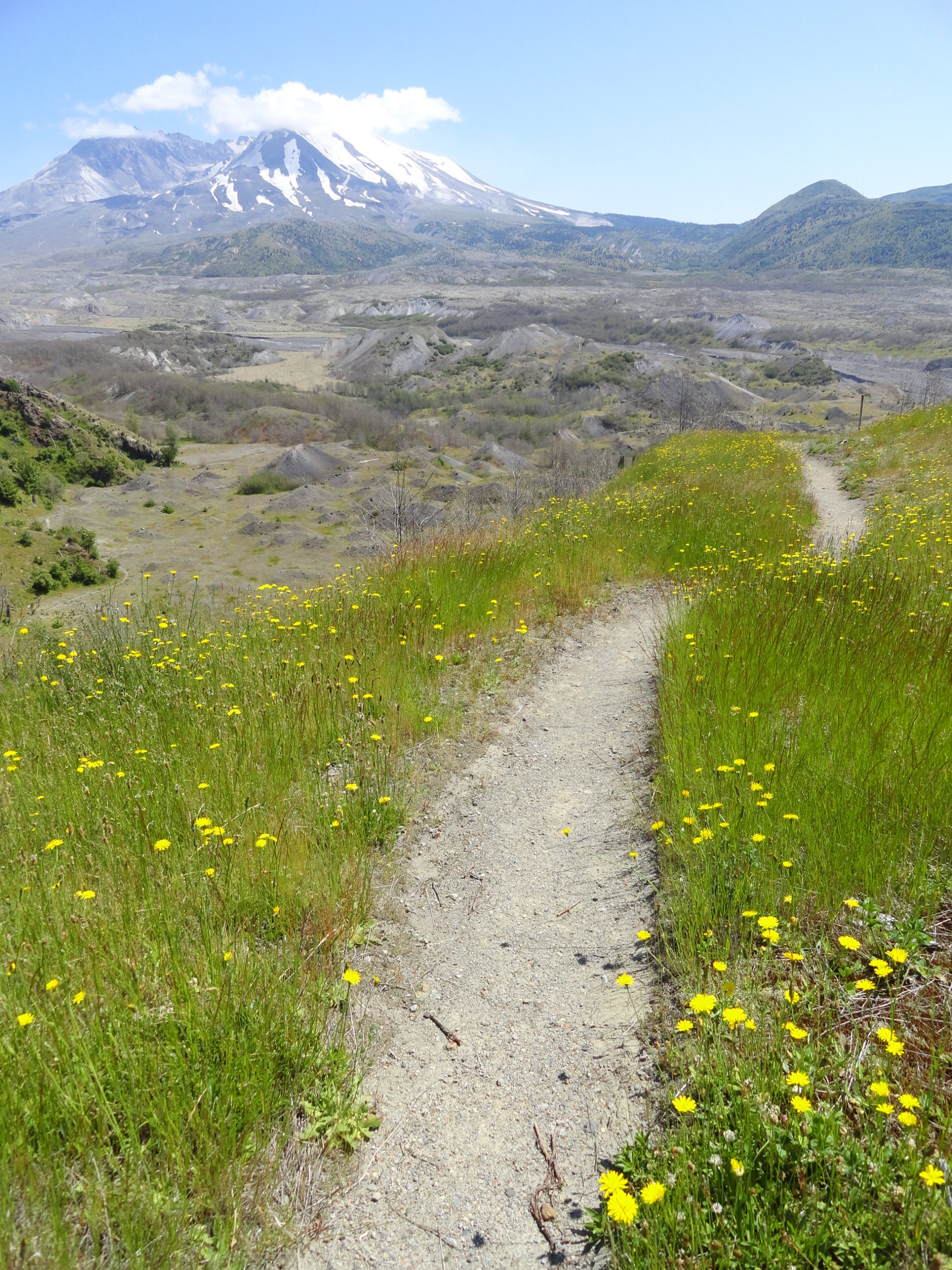 Johnston Ridge via the Boundary Trail — Shun the road to this historic ...