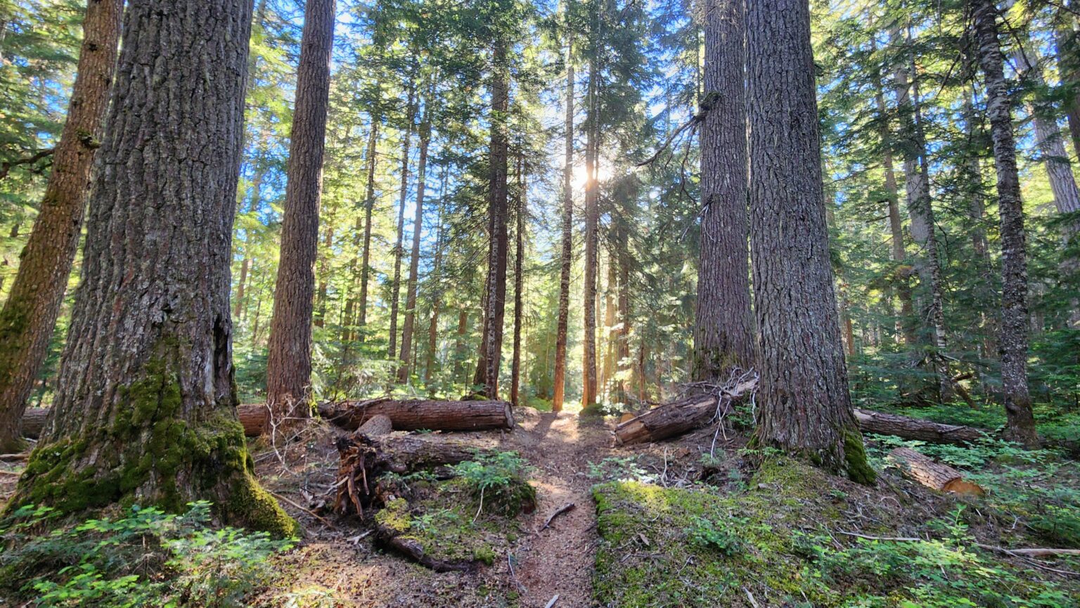 Fourth of July Pass─Declare your Independence this week in the North Cascades – HIke of the Week