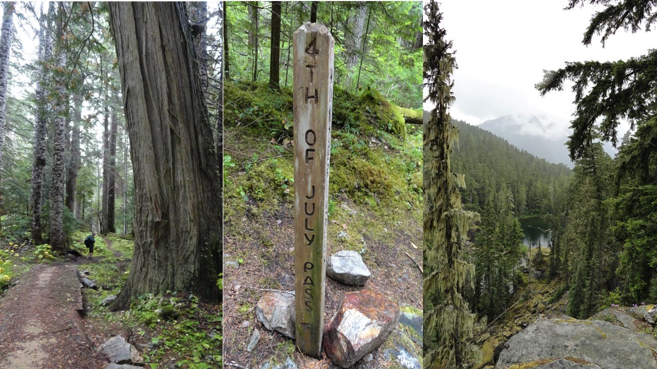 Fourth Of July Pass─declare Your Independence This Week In The North Cascades Hike Of The Week