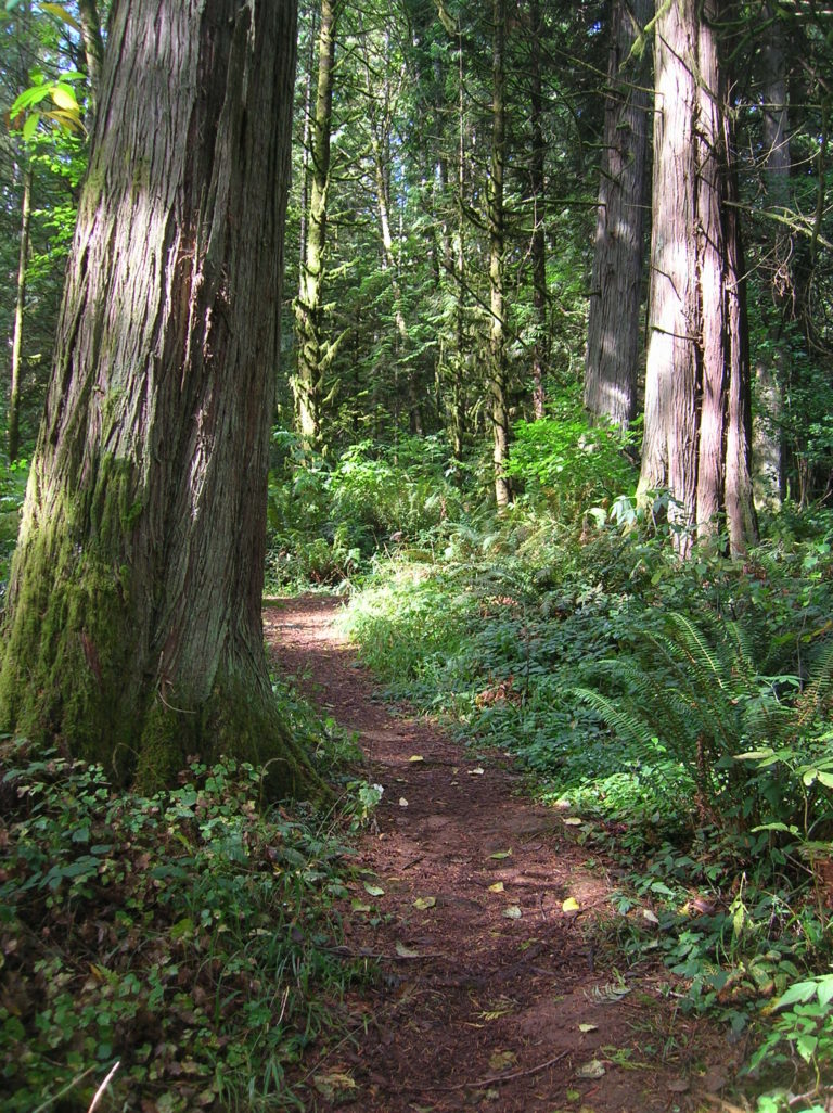 Lewis and Clark State Park─Discover beautiful Old Growth Forest along ...