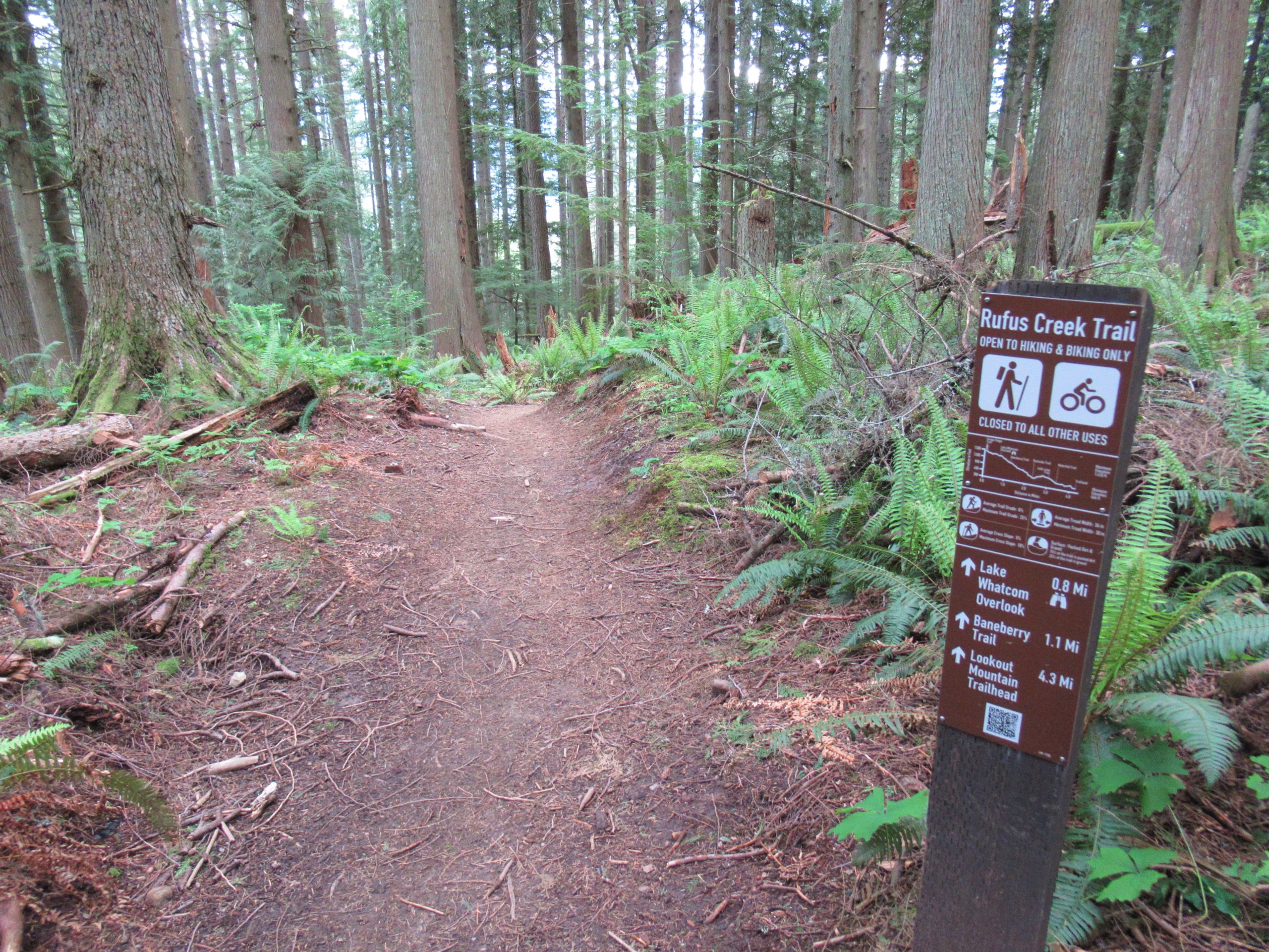 Lookout Loop – HIke of the Week