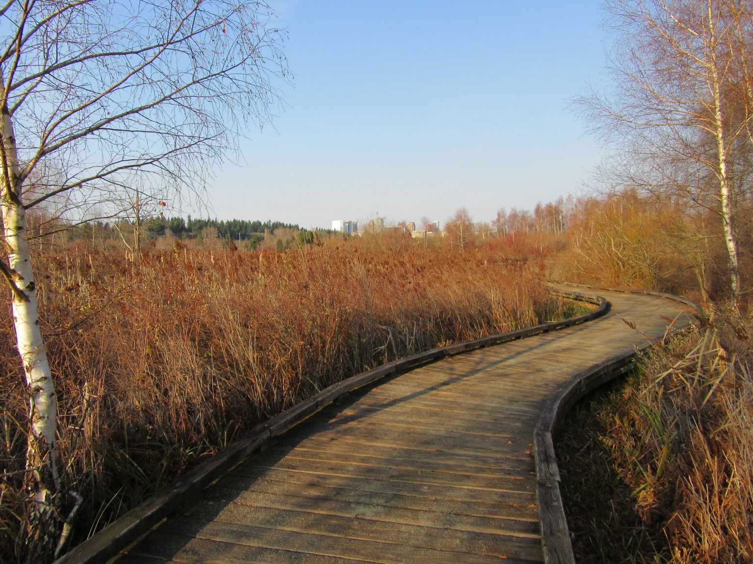 Mercer Slough Nature Park – HIke of the Week