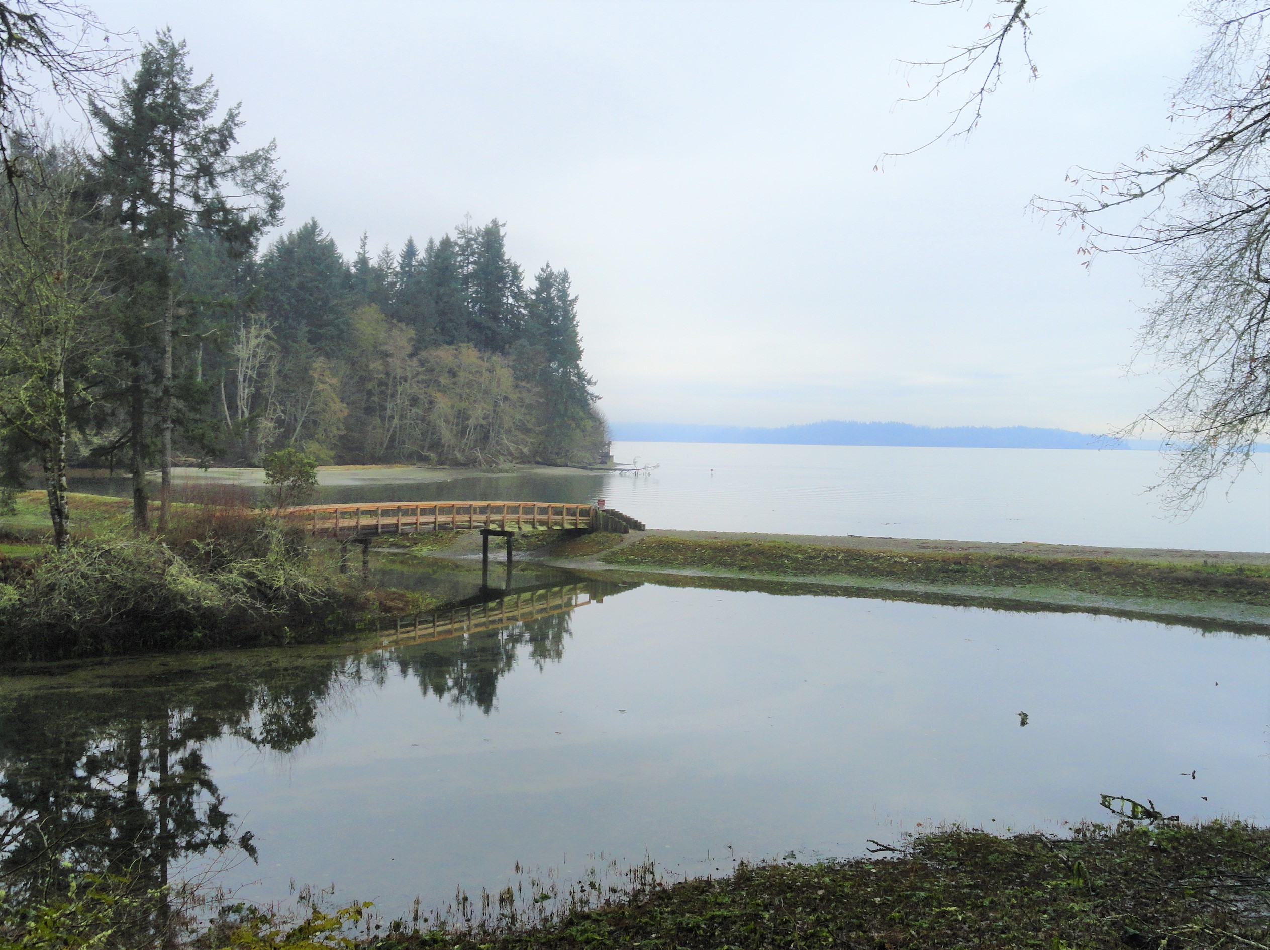 Tolmie State Park – HIke of the Week