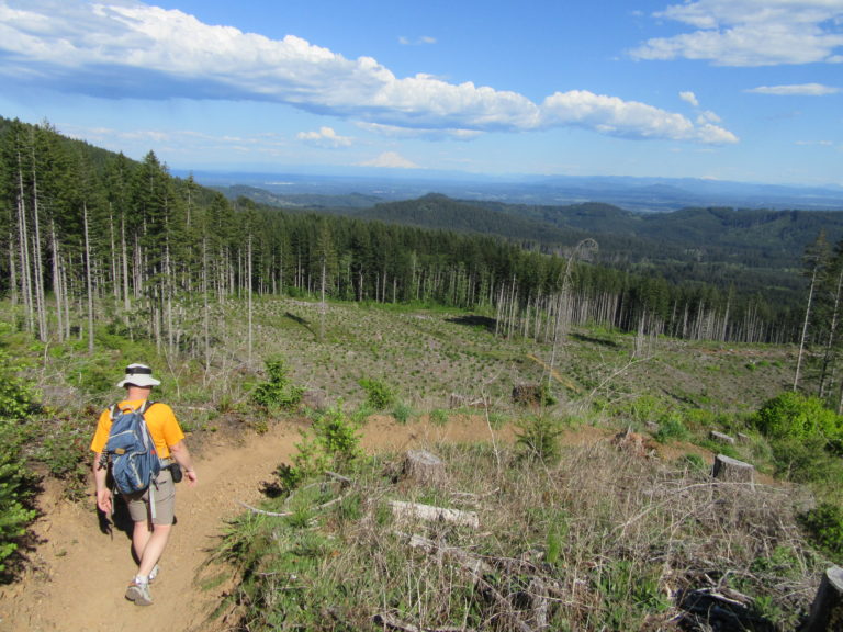 Capitol Peak – HIke of the Week