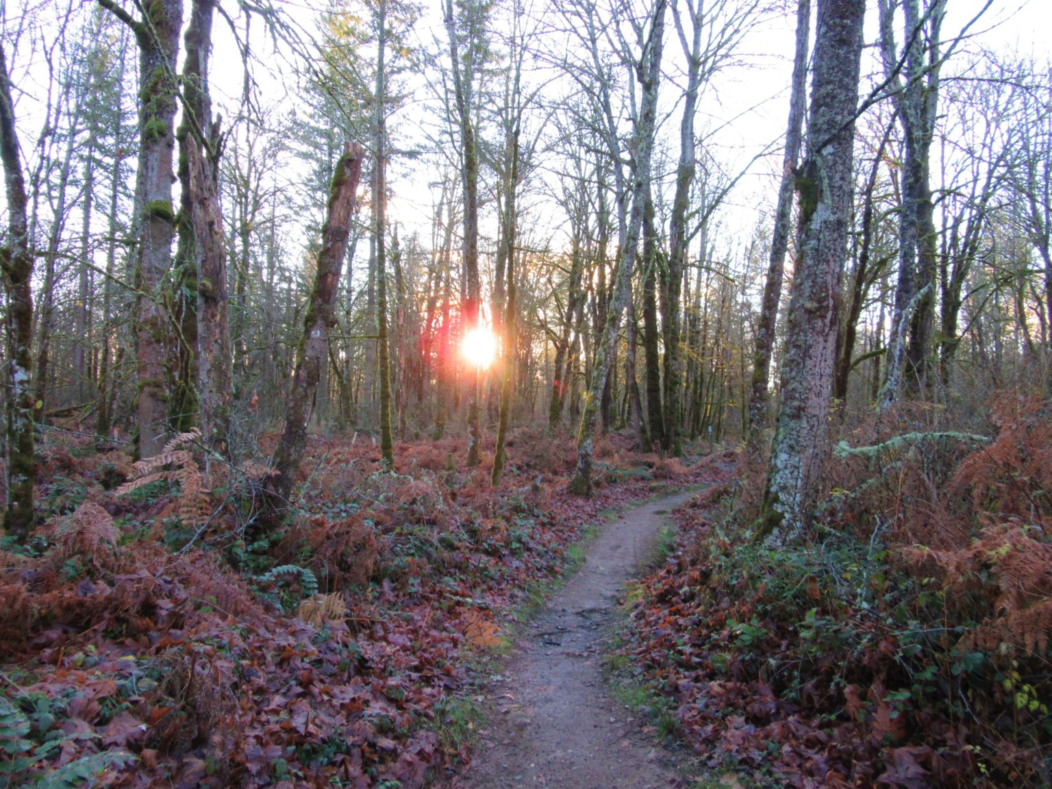 Soaring Eagle Regional Park- take a sleigh ride! – HIke of the Week