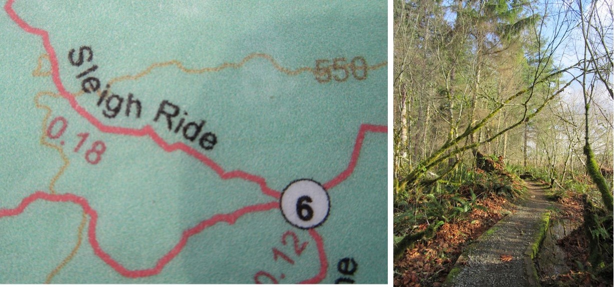 Soaring Eagle Regional Park- take a sleigh ride! – HIke of the Week