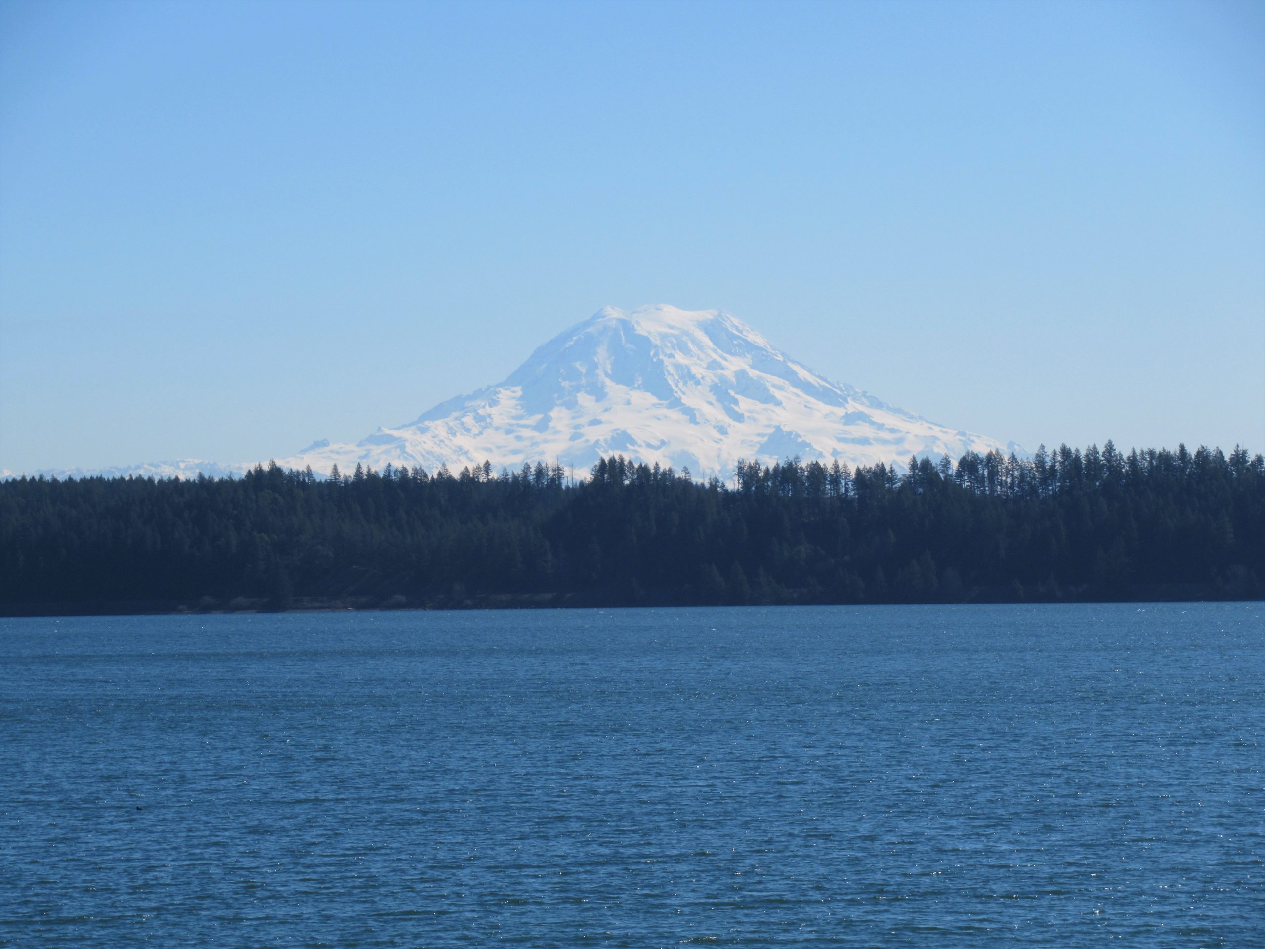 Jacobs Point Park – HIke of the Week