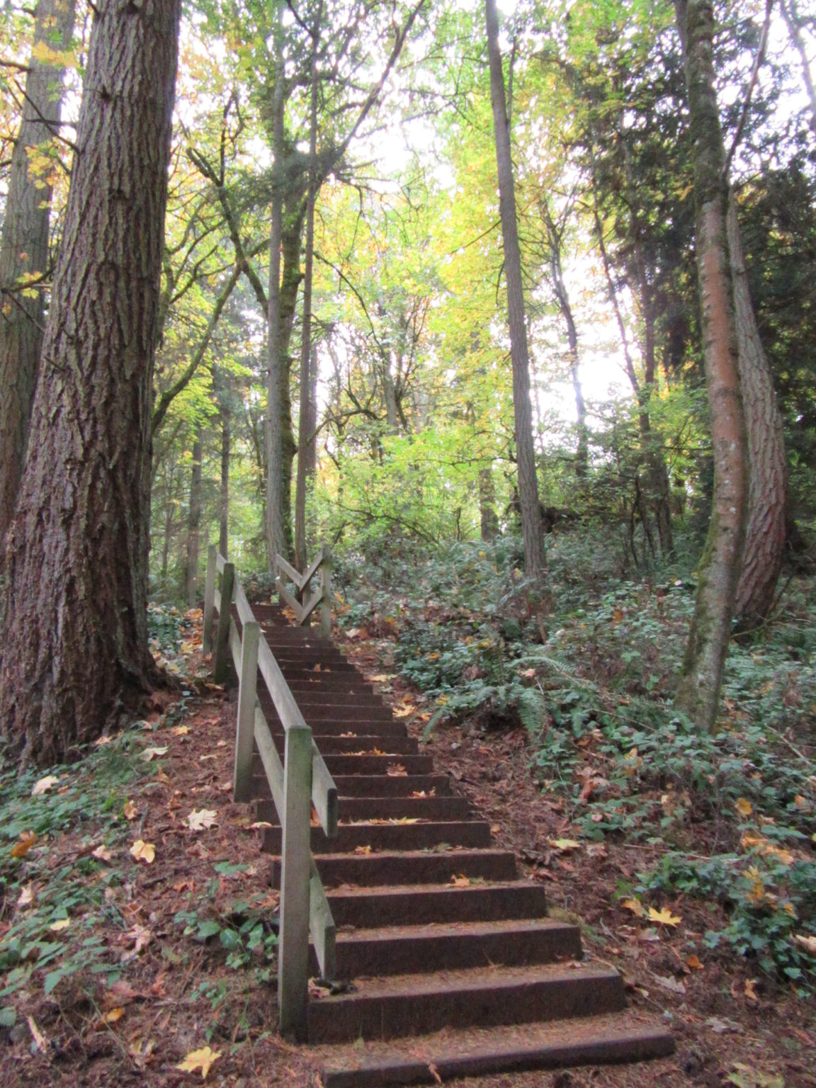 Weowna Park – HIke of the Week