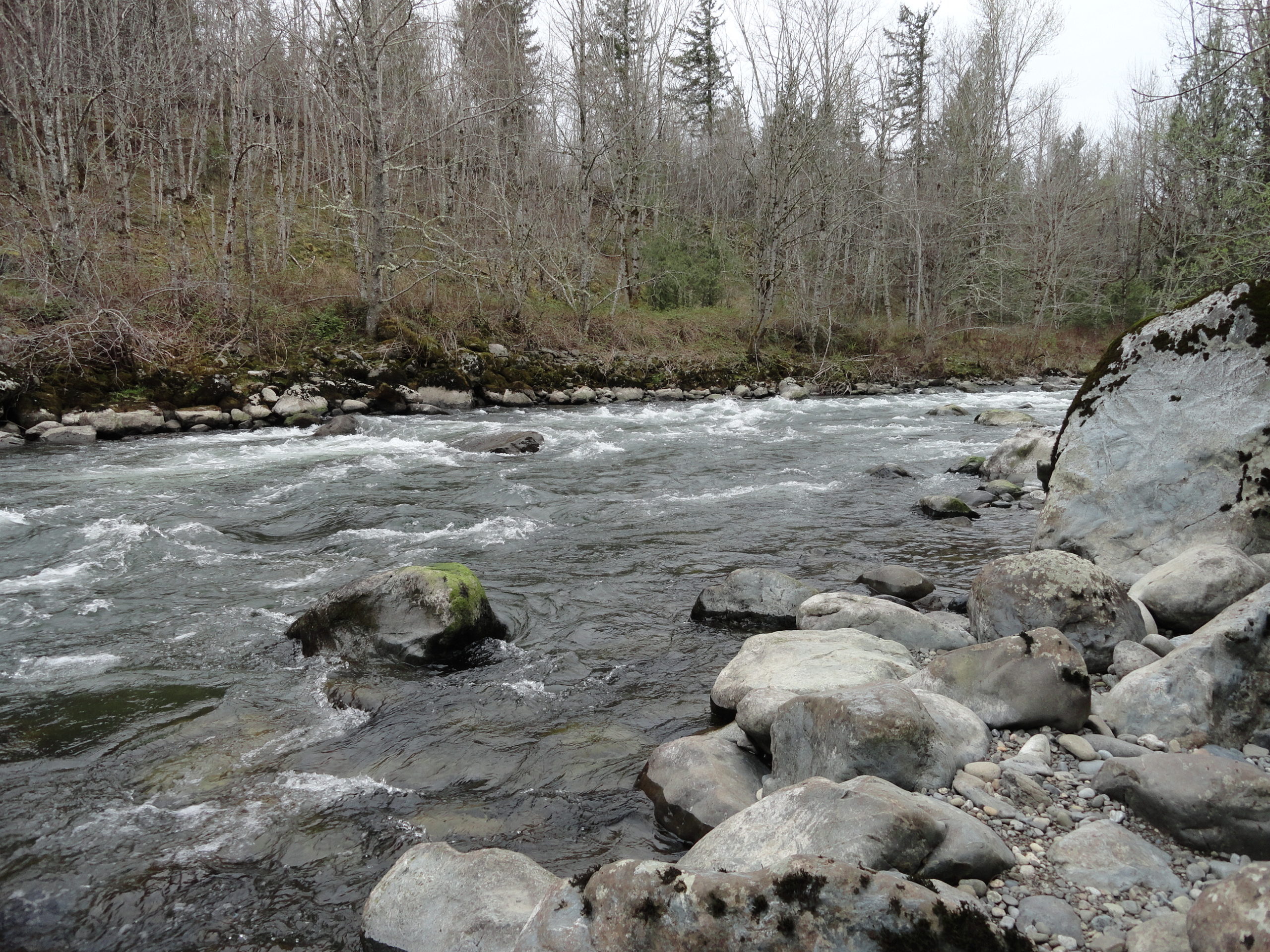 River Trail – HIke of the Week