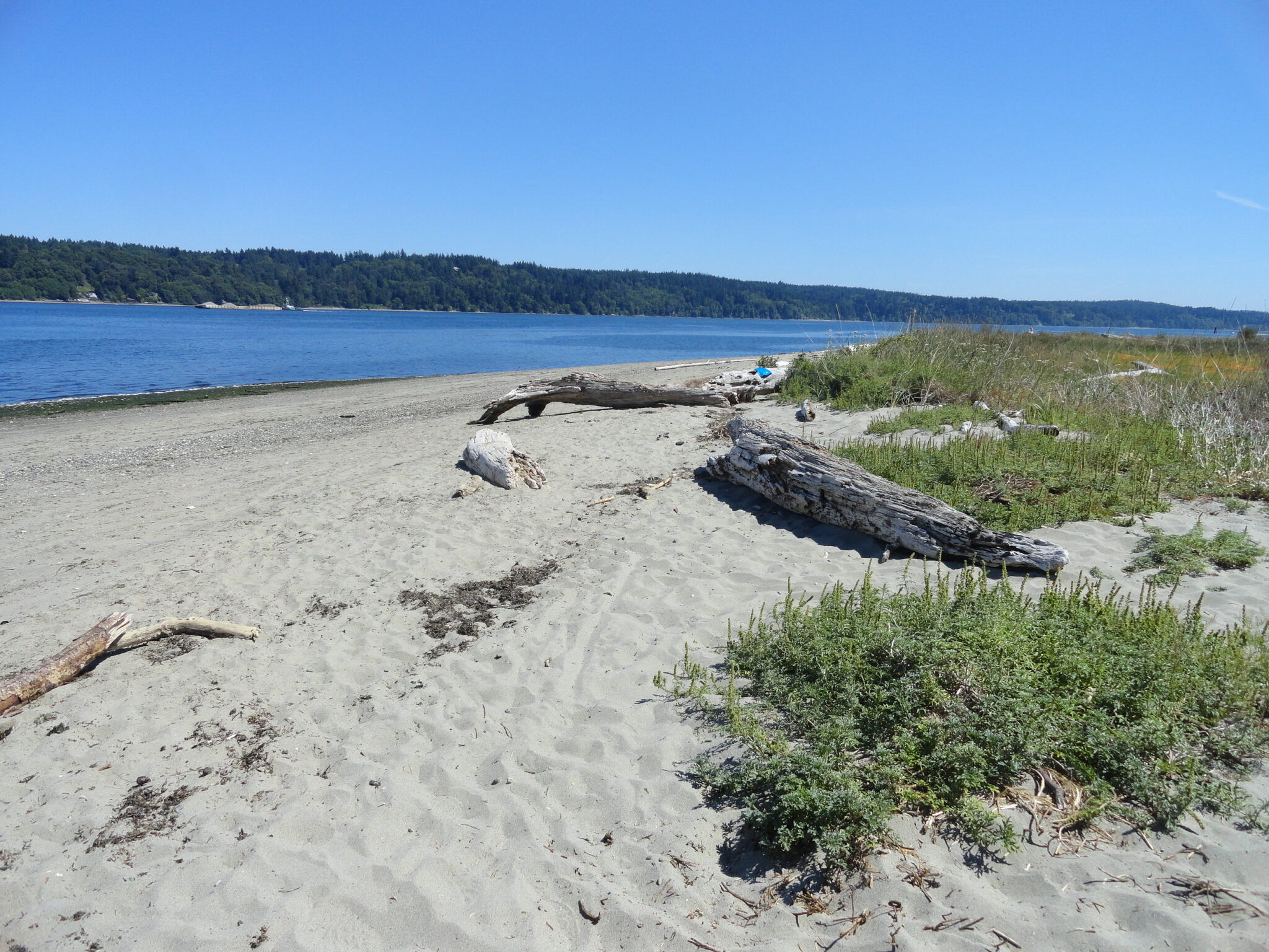 Puget Sound Islands & Lowlands – HIke of the Week