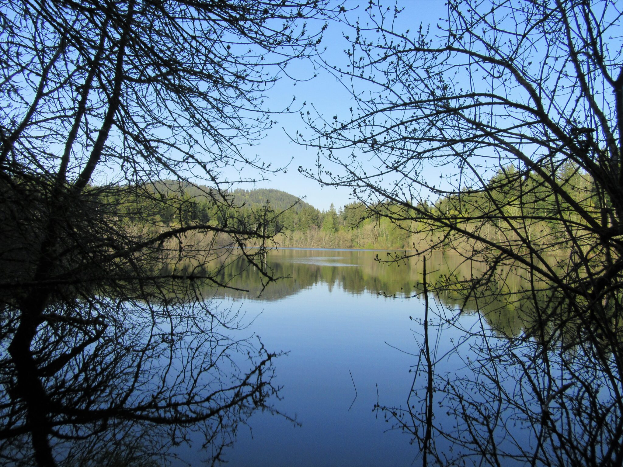 Puget Sound Islands & Lowlands – HIke of the Week